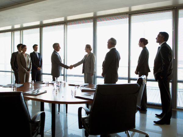 Corporate Merger, Acquisition, and Divestiture Execution Capability