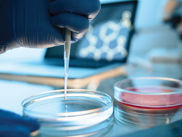 Exploring the Commercial Process for Personalized Medicine