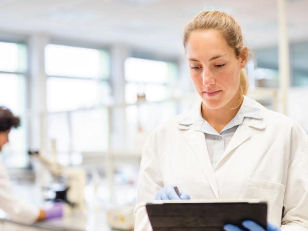 Preparing Quality Data for Acquisition | Clarkston Consulting