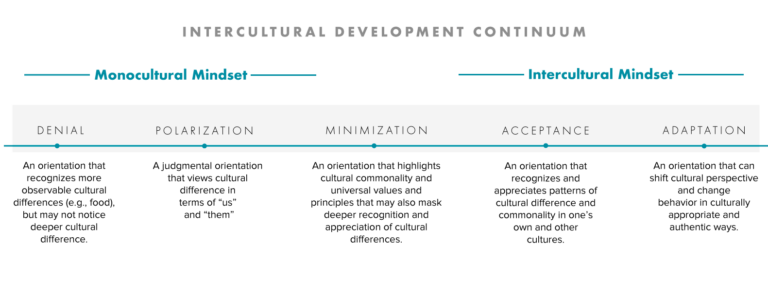 Understanding and Effectively Managing Multicultural Teams