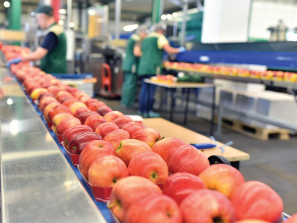 The Need for Transparency and Change in Sustainable Food Production