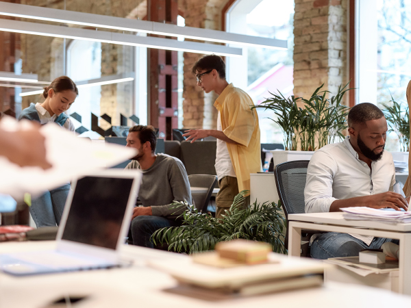 Program Management Training for a Rapidly Expanding Business