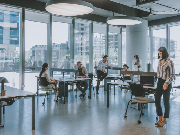 Insights to Action: People Analytics in DE+I | Clarkston Consulting