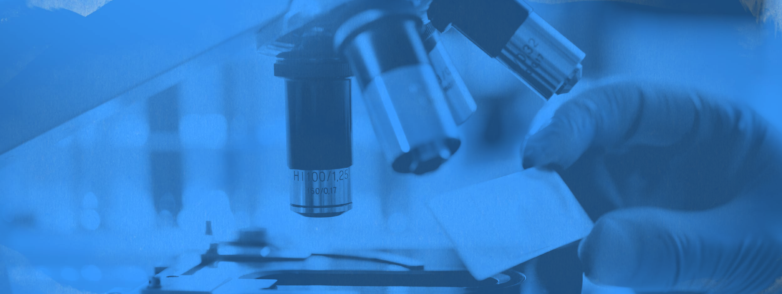 Commercial Launch Consulting | Clarkston Consulting