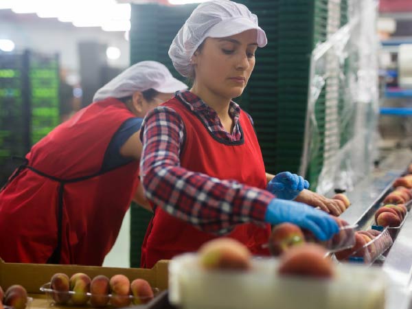 How The War in Ukraine is Impacting the Global Food Crisis