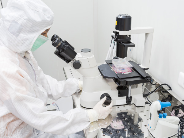 Gene and Cell Therapy Product Documents to Drive Decision-Making