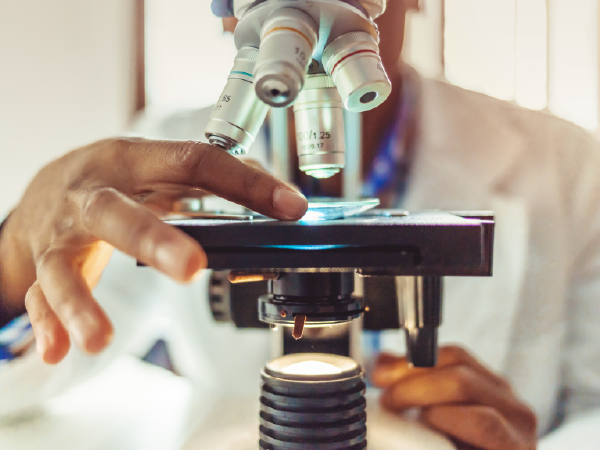 Establishing An Internal Knowledge Base for Q&A and Generative ...