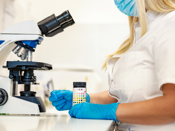 Creating a CMC Playbook for a Cell and Gene Therapy Company