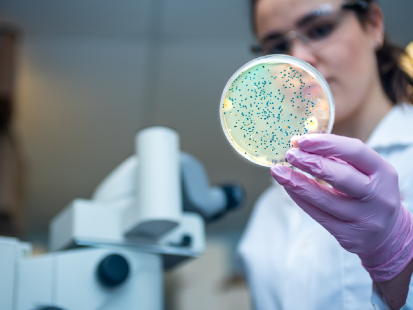 Implementing Benchling Validated Cloud for a Biotherapeutic Company